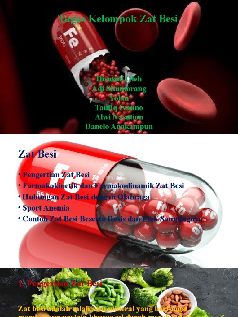 Materi Zat Besi | PDF