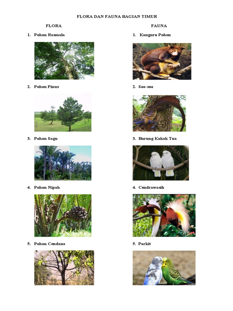 Flora Dan Fauna Bagian Timur | PDF