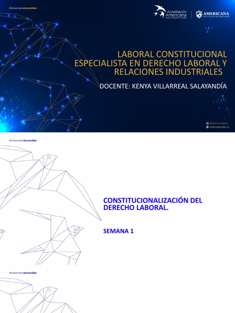 Derecho Laboral Constitucional | PDF | Constitución | Derecho laboral