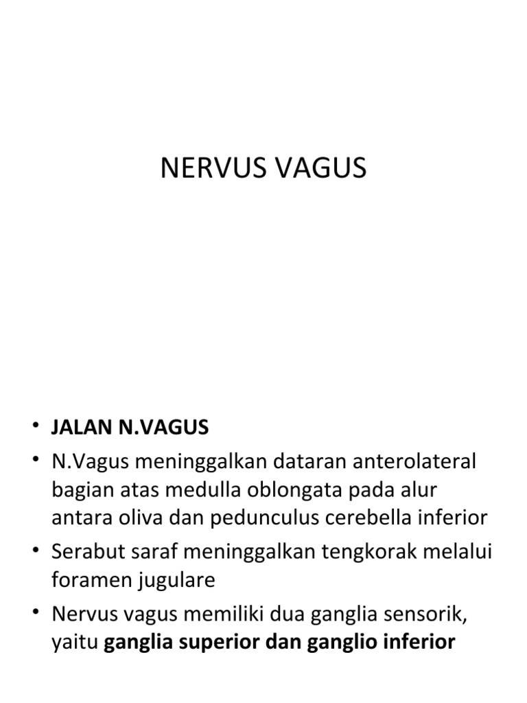 Anatomi dan Fungsi Nervus Vagus | PDF | Sains & Matematika