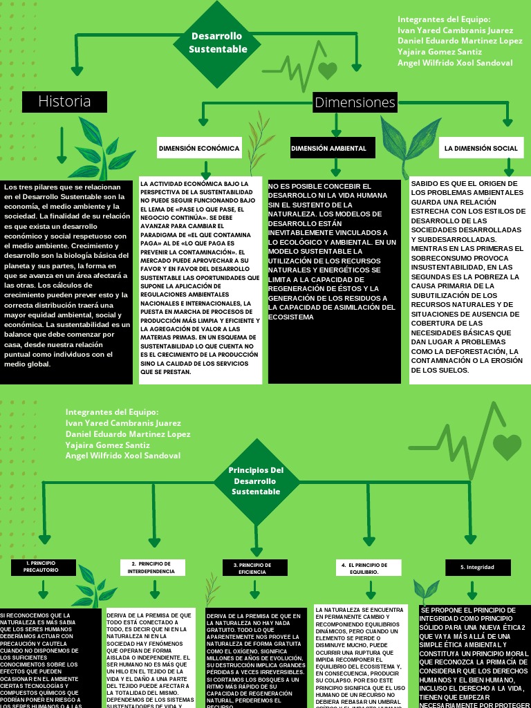 Mapa Conceptual Equipo 3 | PDF | Entorno natural | Sustentabilidad