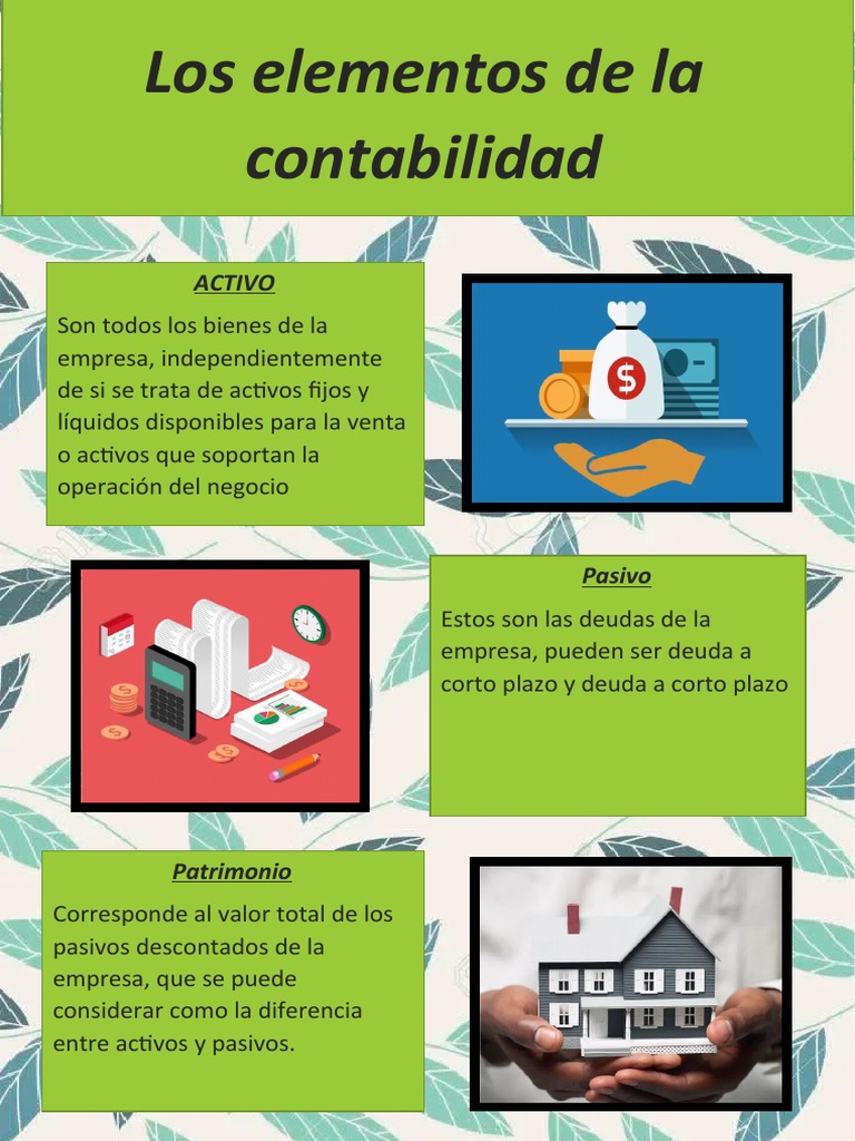 Los Elementos de La Contabilidad | PDF | Contabilidad | Business