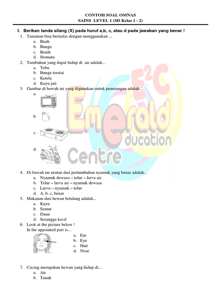 Omnas Contoh Soal S 1 Pdf