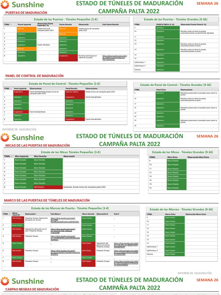 Informe Túneles de Maduración Sem26 | PDF
