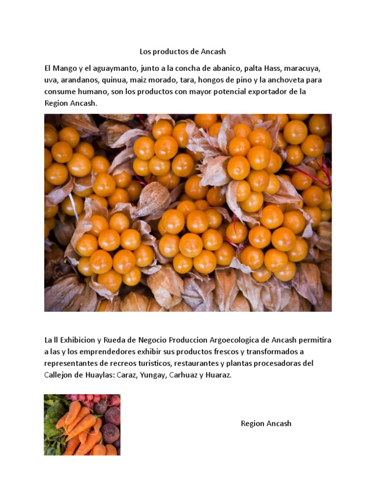 Los Productos de Ancash Alfred Mark Maza Lorenzo Ciencias Sociales ...