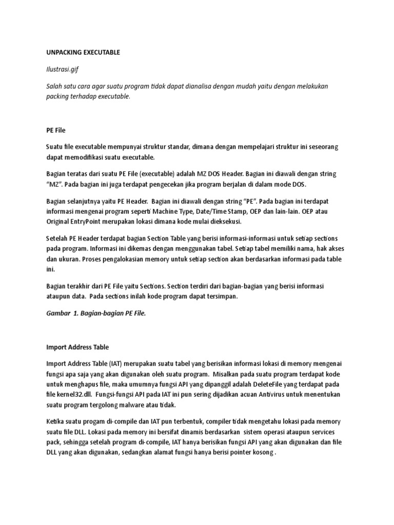 Unpacking Executable | PDF