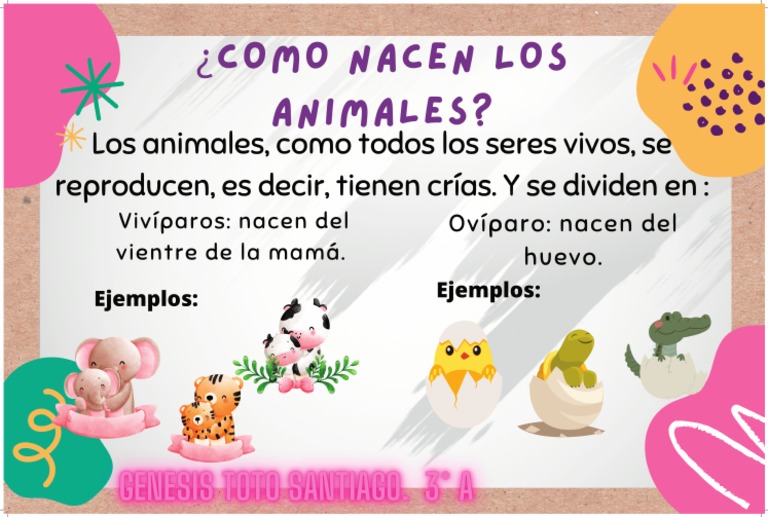 Animales Viviparos y Oviparos | PDF