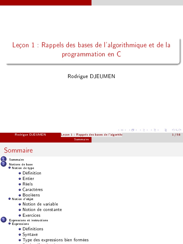 INF233 - Lecon 1 | PDF | Paramètre (Programmation informatique) | Variable (informatique)
