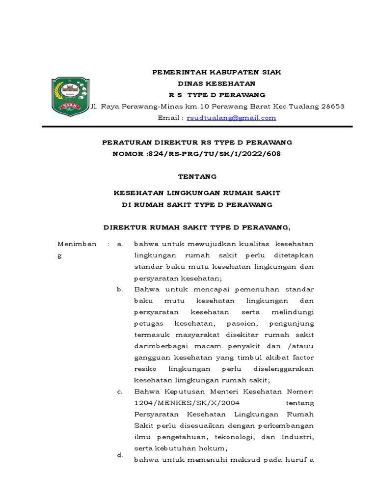 SK Panduan Pengolahan Limbah B3 Drumah Sakit | PDF