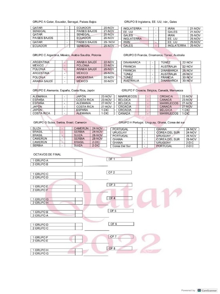 Formato Polla Mundialista | PDF