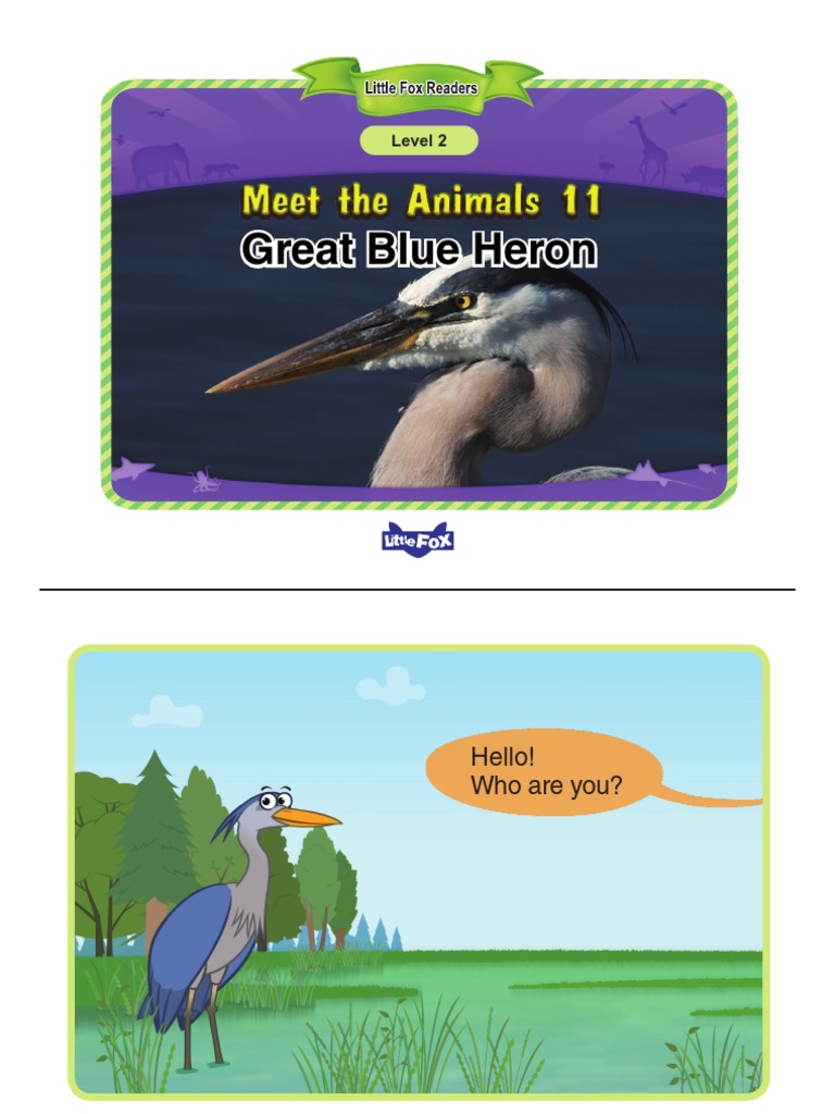 lv02-011 - Meet The Animals 11 - Great Blue Heron | PDF