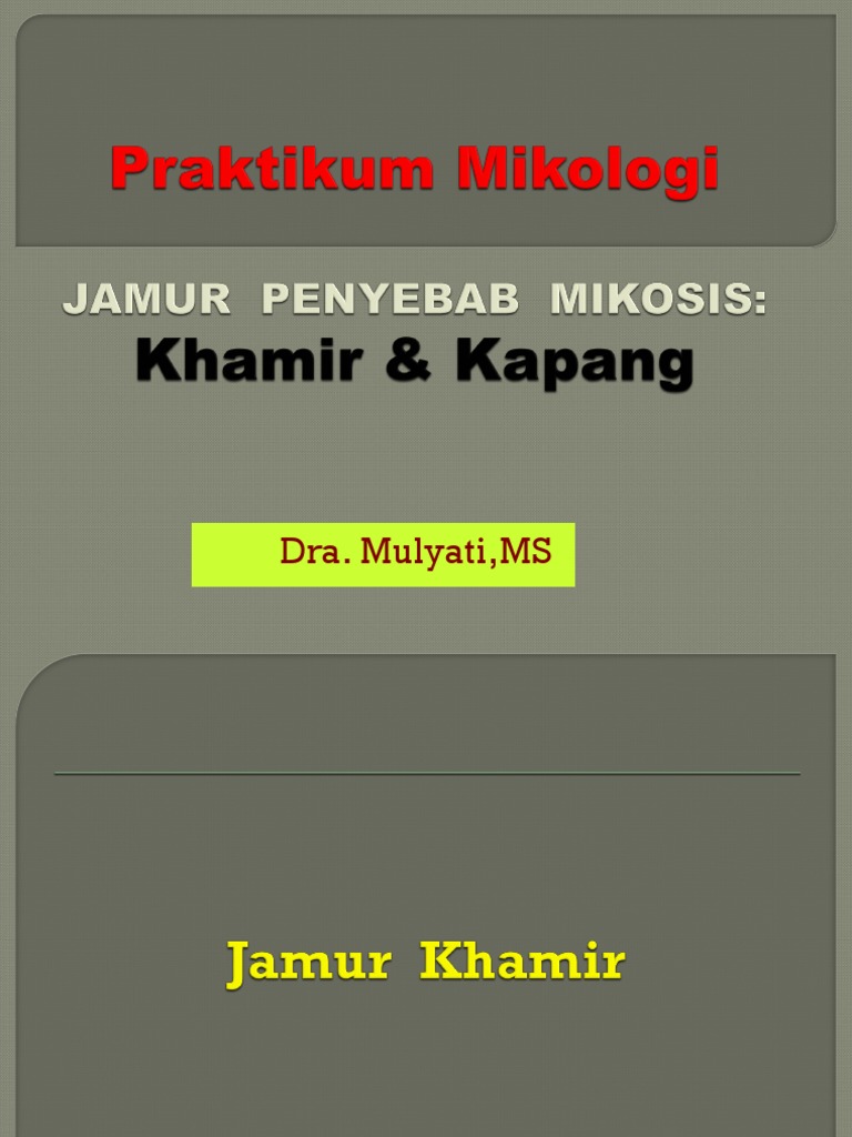 PRAK 3-4 - JAMUR KHAMIR DAN KAPANG (Autosaved) - Rev | PDF