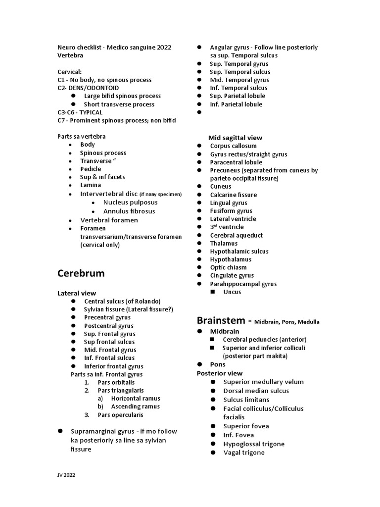Neuro Checklist | PDF