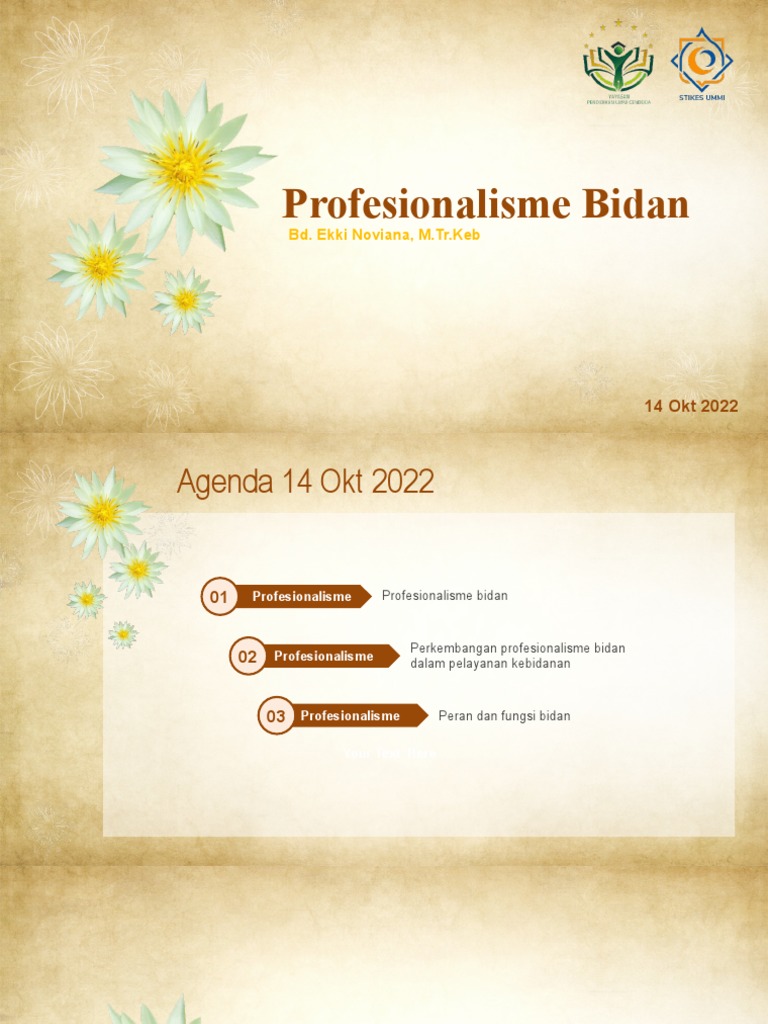 Profesionalisme Bidan | PDF