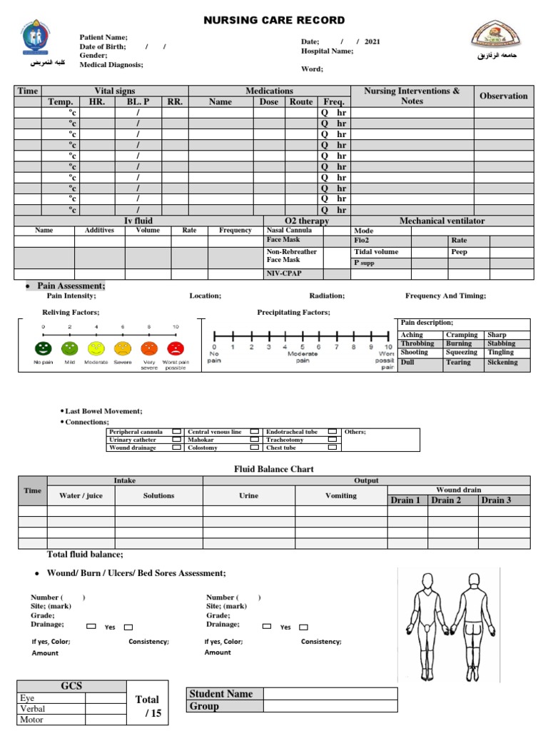 Nursing Care Record: - Pain Assessment | PDF | Pain | Intravenous Therapy