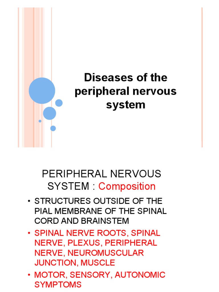 Peripheral Nervous System Disorders | PDF | Neuron | Axon