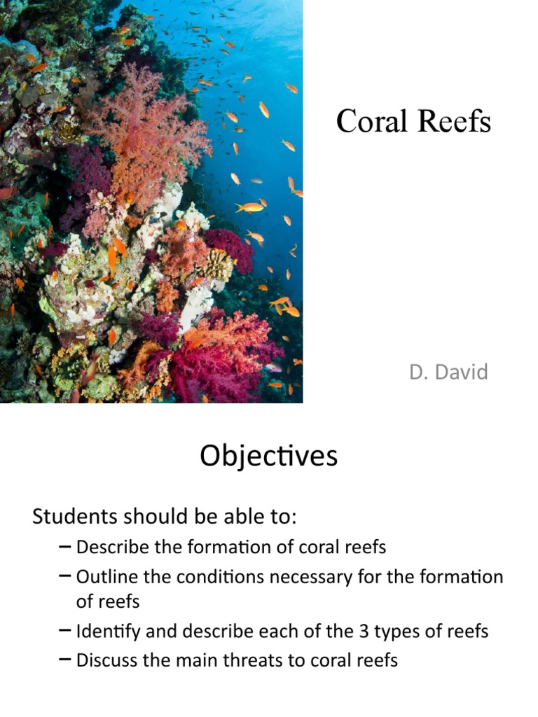 Coral Reefs | PDF | Coral Reef | Lagoon