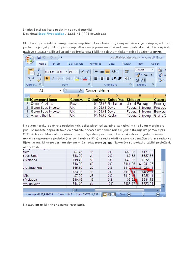 Pivot Table PDF