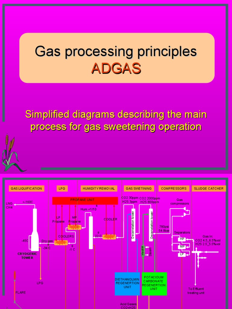 Gas Processing Units | PDF | Catalysis | Carbon Dioxide