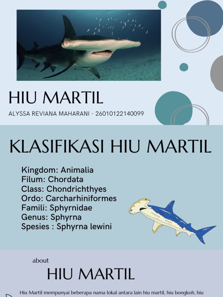 Klasifikasi dan Habitat Hiu Martil | PDF | Griya & Taman