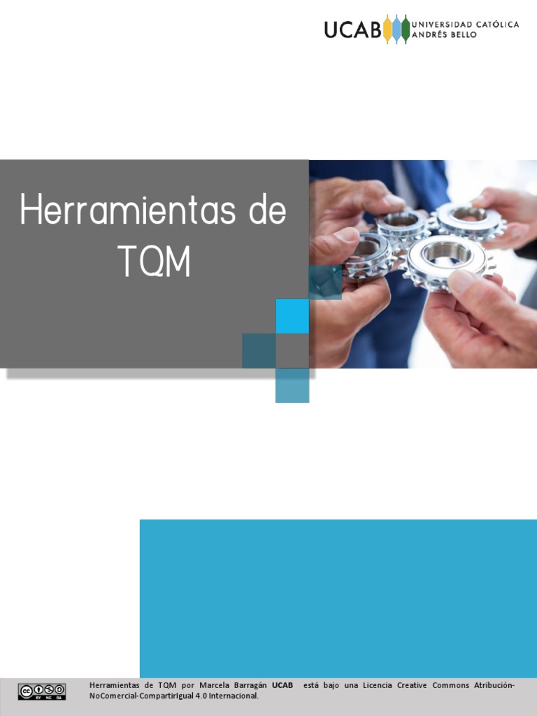 Herramientas Básicas de TQM | PDF | Informática