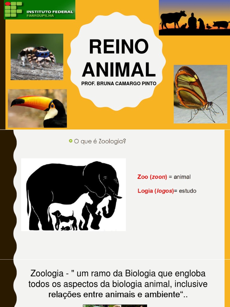 Reino Animal | PDF | Antigo Egito | Zoologia
