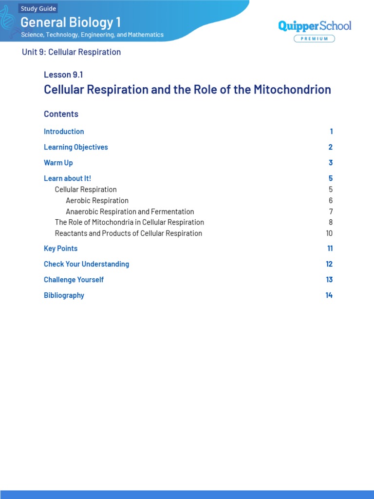 BIO (Study Guide) | PDF | Cellular Respiration | Mitochondrion