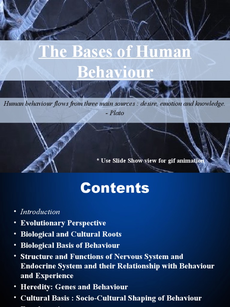 The Bases of Human Behaviour | PDF | Neuron | Nerve