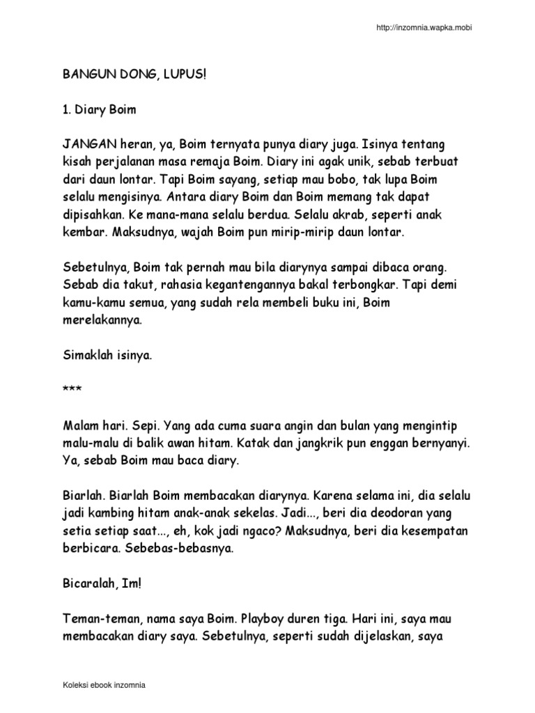 Diary Boim: Kisah Remaja Lucu | PDF