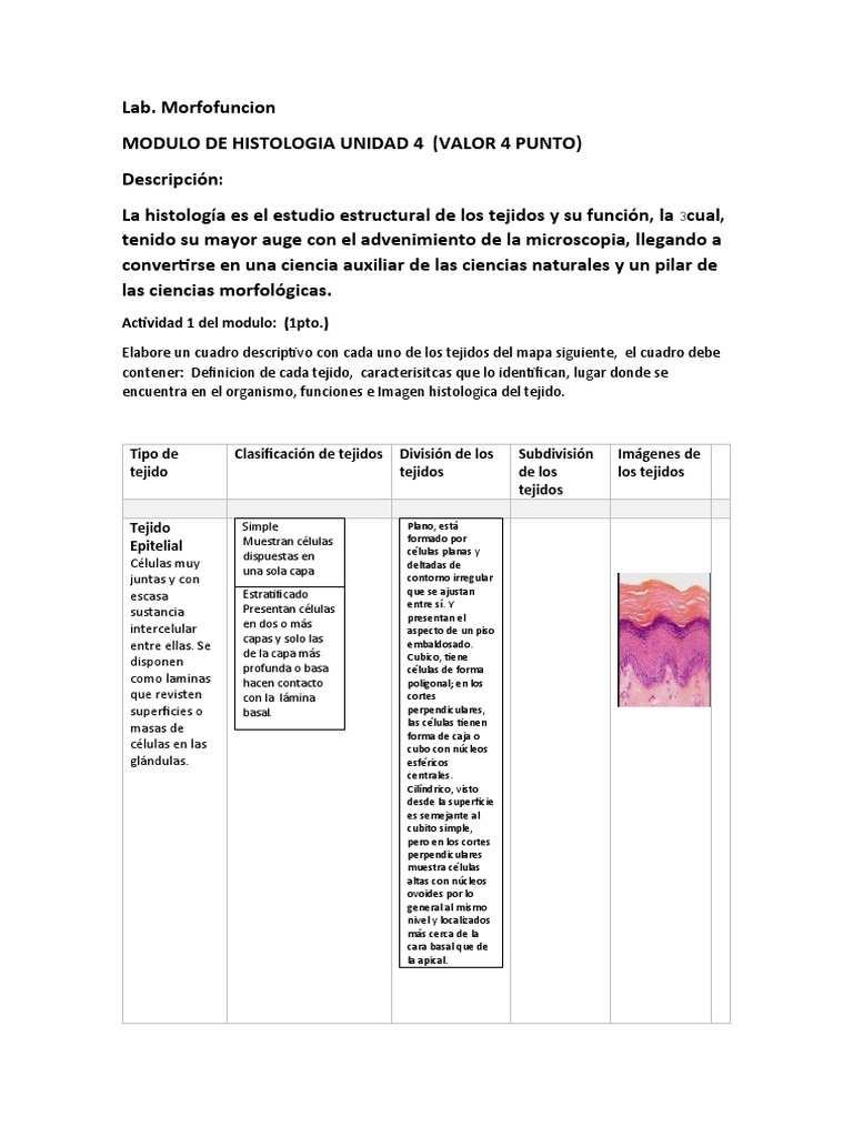 Lab - Morfo. Modulo Histologia | PDF