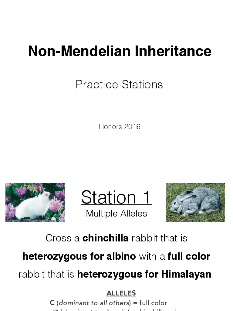 Non-Mendelian Inheritance Practice Stations 2018 | PDF | Dominance ...