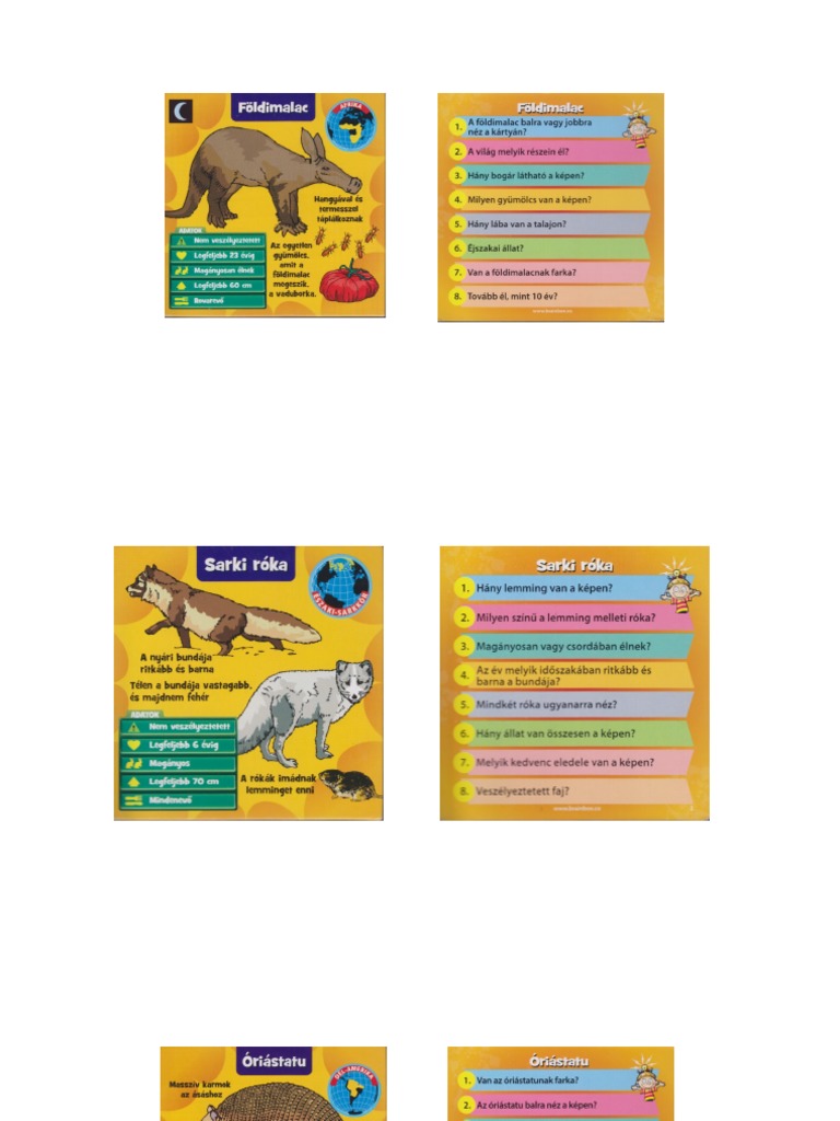 Brainbox Állatok 1. | PDF