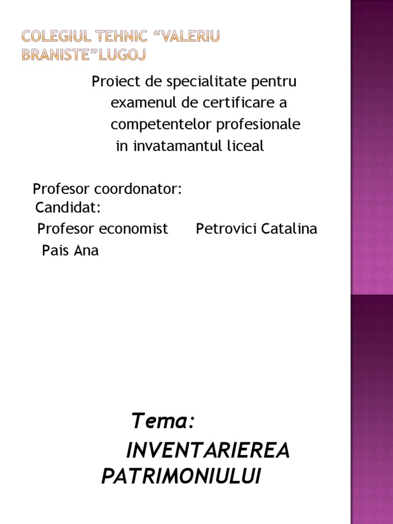 Inventarierea Patrimoniului | PDF