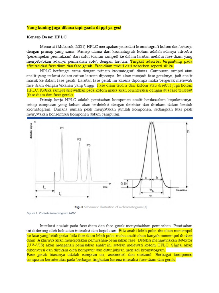 Prinsip dan Analisis HPLC | PDF