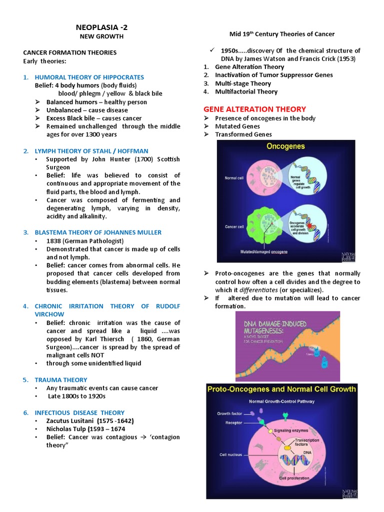 Histopath Reviewer Lecture PPT 4 | PDF