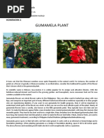 Gumamela: Uses and Flower Anatomy | PDF | Science & Mathematics | Home ...