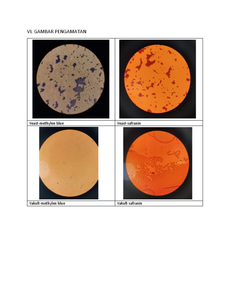 Gamker Laporan Pewarnaan Tunggal | PDF