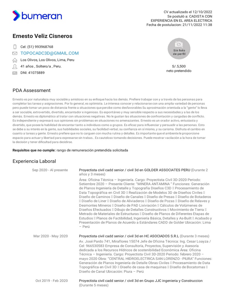 CV de Ernesto Veliz: Experto CAD Eléctrico | PDF | Arte