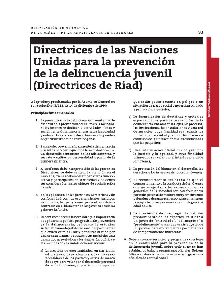 Directrices de Riad | PDF