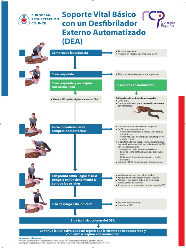 RCP Basico Con Un Dea | PDF | Reanimación cardiopulmonar | La seguridad