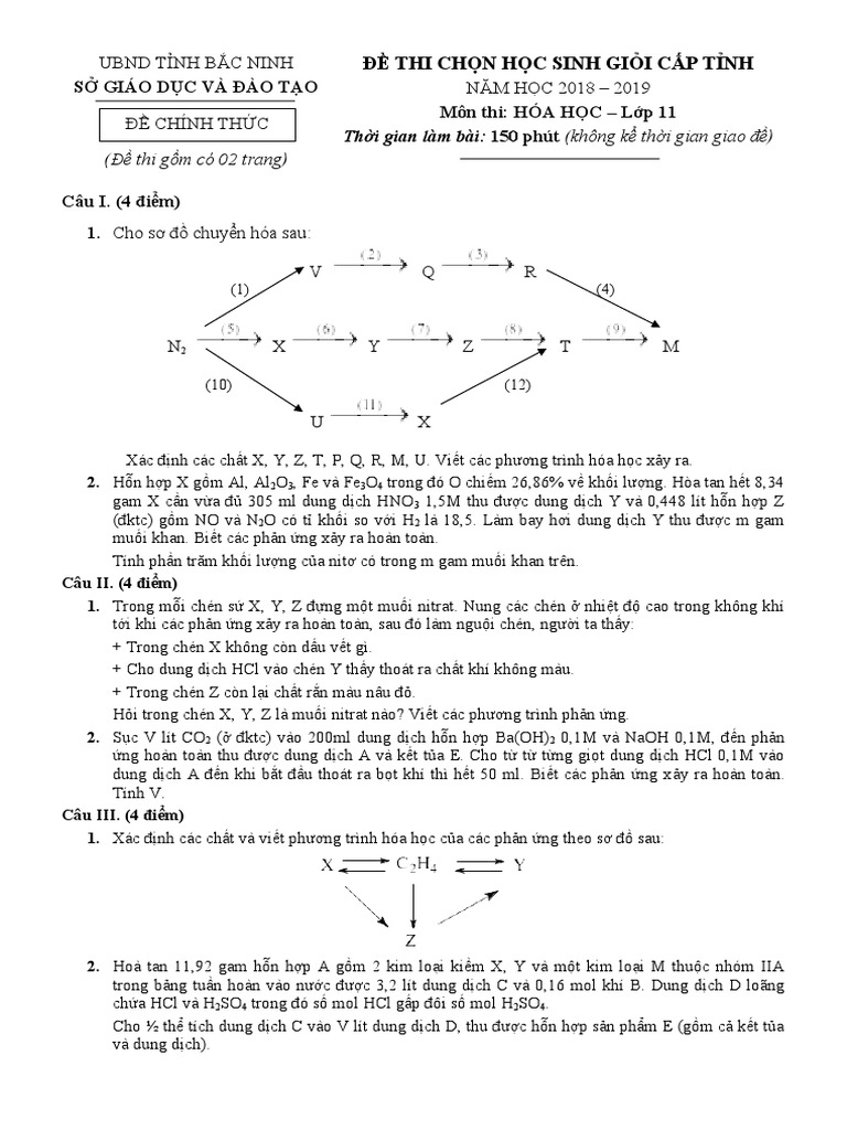 HSG 11 BẮC NINH 2018-2019 | PDF