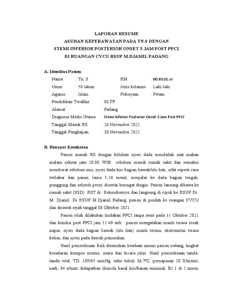 Lap. Resume 1 | PDF