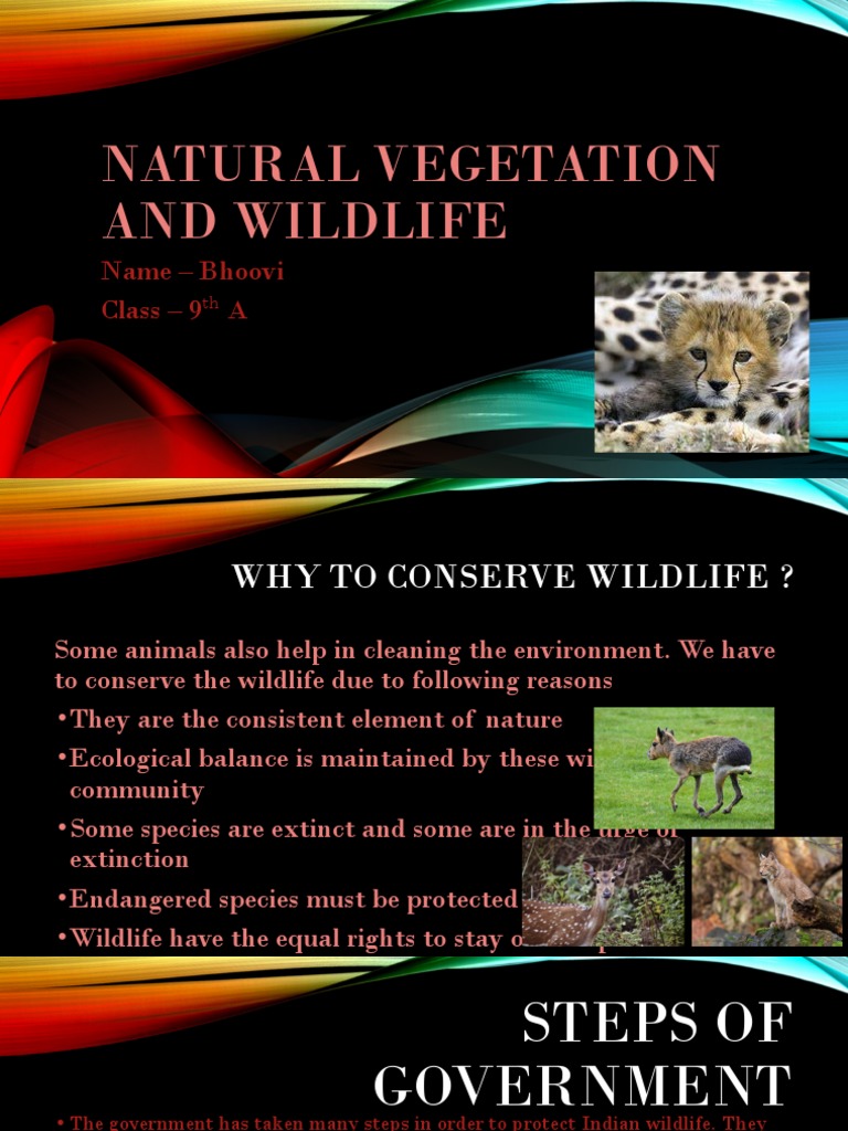 Importance of Wildlife Conservation | PDF | Wellness | Science & Mathematics