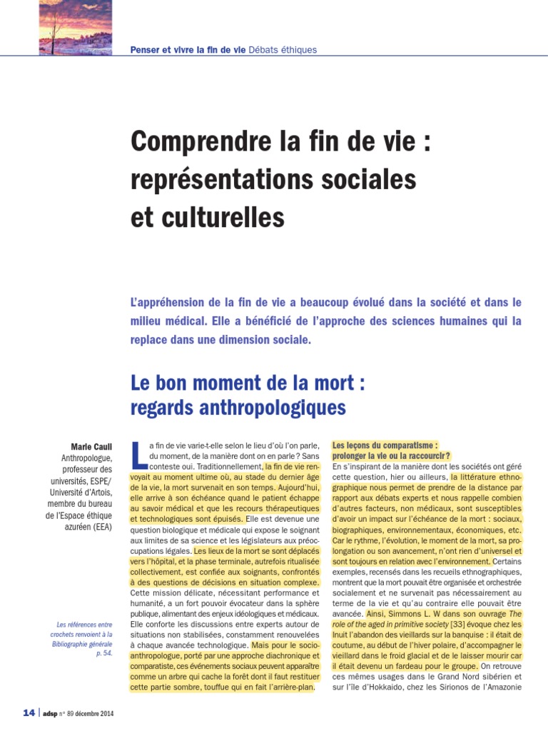 End of Life Definition in French Fin de Vie | PDF | Soins palliatifs ...
