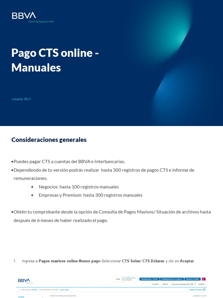 Pago Cts Online Manuales | PDF
