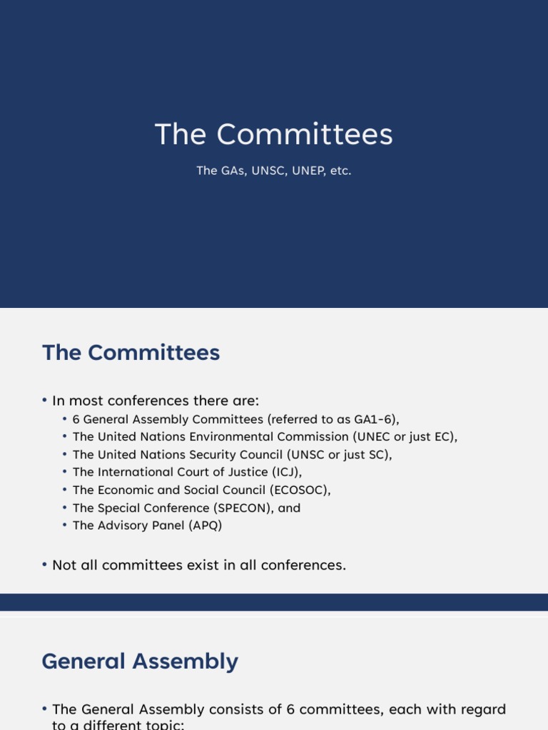 Model United Nations - Tutoring - Committees | PDF
