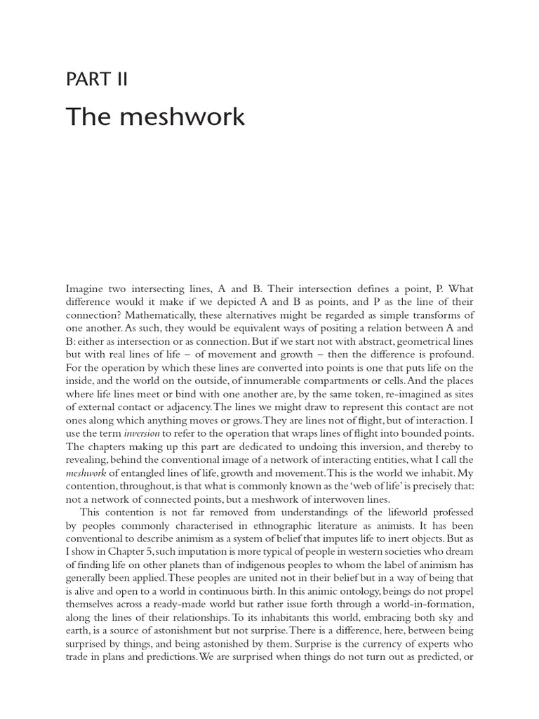 Understanding Ingold's Meshwork Concept | PDF | Science | Sky