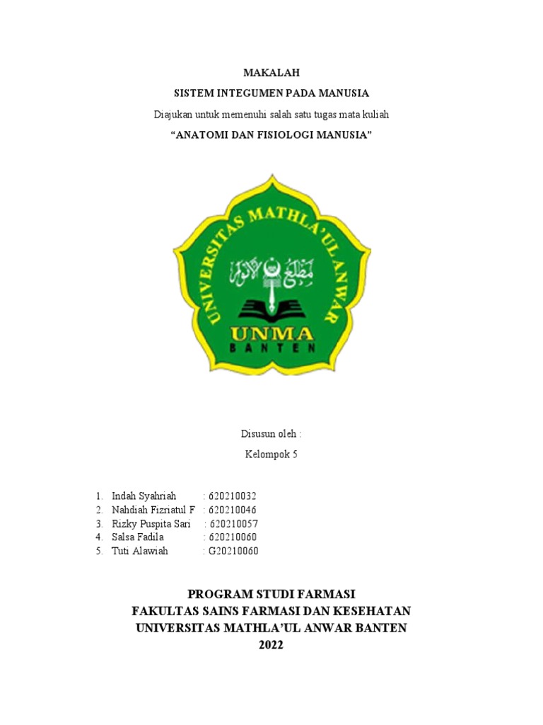 Sistem Integumen Manusia: Anatomi & Fungsi | PDF