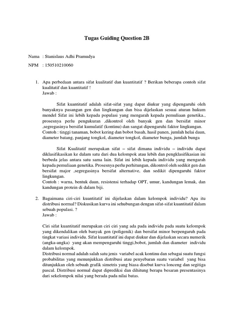 Kelas E - Tugas 2B | PDF