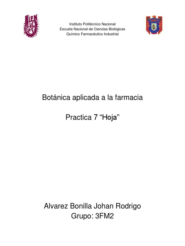 Practica 7 | PDF | Hoja | Tallo de la planta